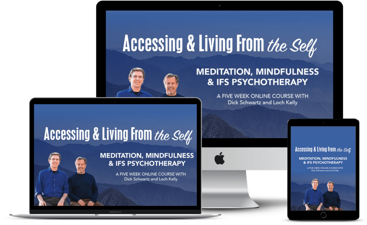 Internal Family Systems (IFS) Institute - Authentic Presence, Inc.